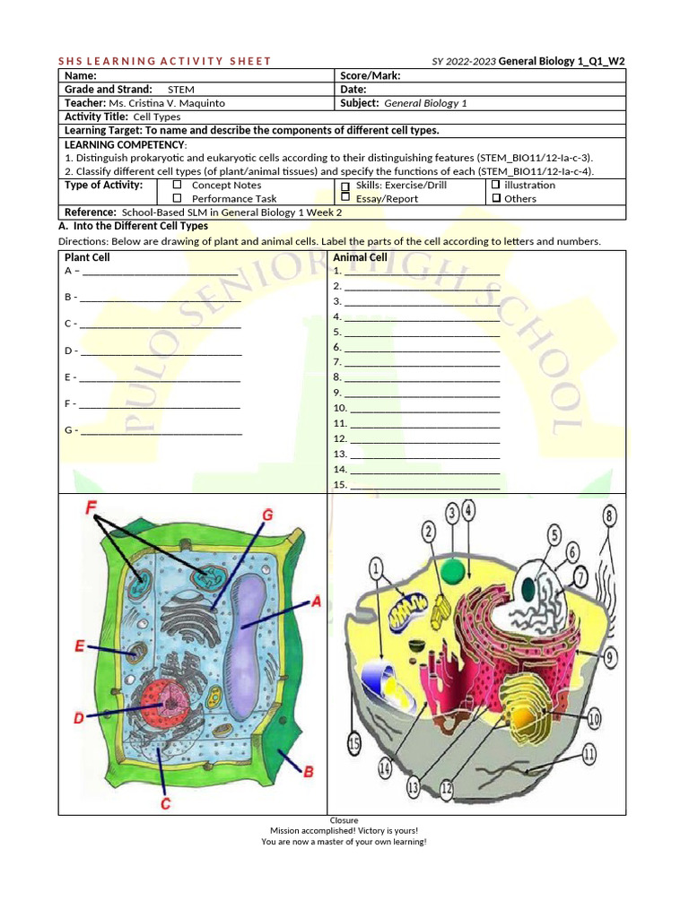 Learning Activity Sheet No. 2 GENBIO1 | PDF | Cell (Biology) | Biology