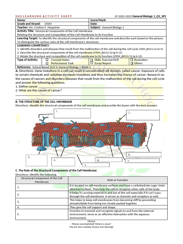 Learning Activity Sheet No. 5 GENBIO1 | PDF | Cell Membrane | Cell ...