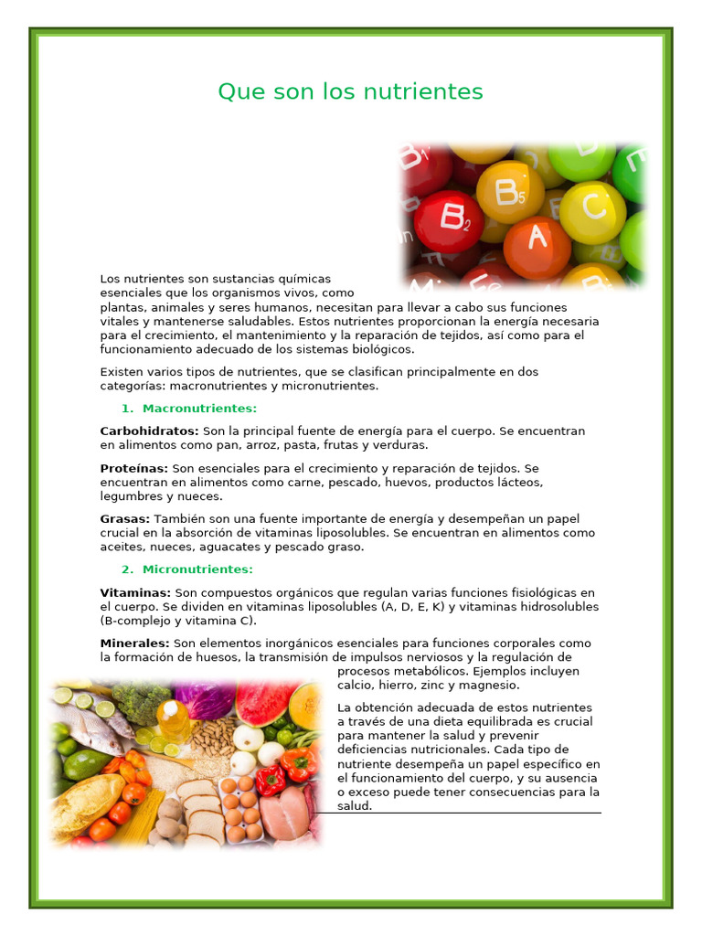 Nutrientes: Clasificación y Funciones Esenciales | PDF | Salud y bienestar