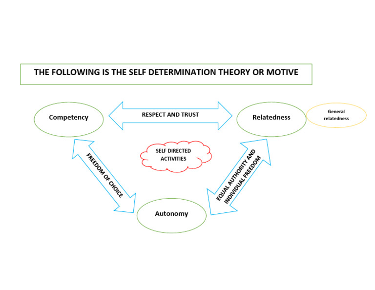 Self Determination Theory | PDF