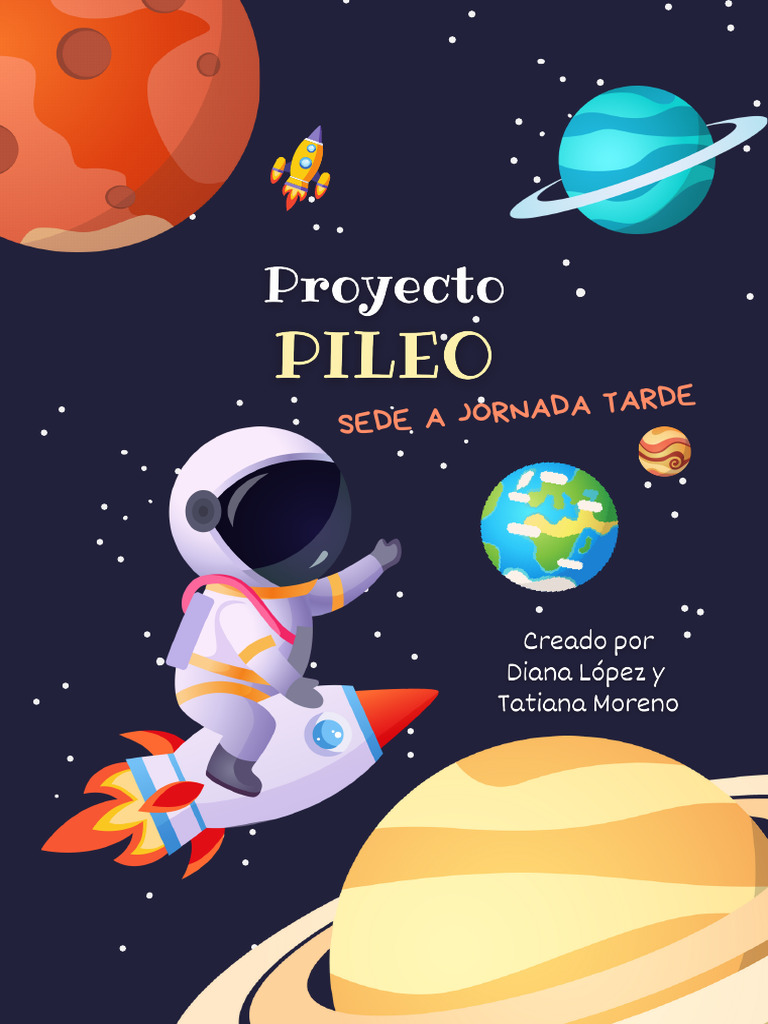 Pileo | PDF | Plan de estudios