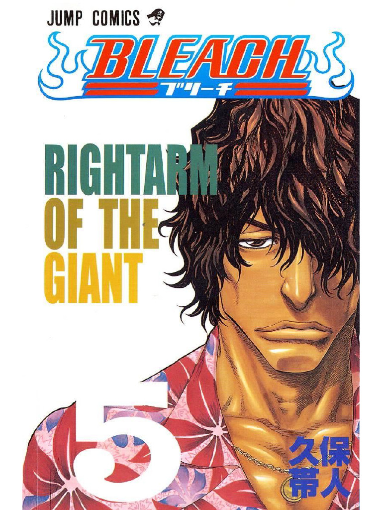Bleach - Tomo 05 | PDF