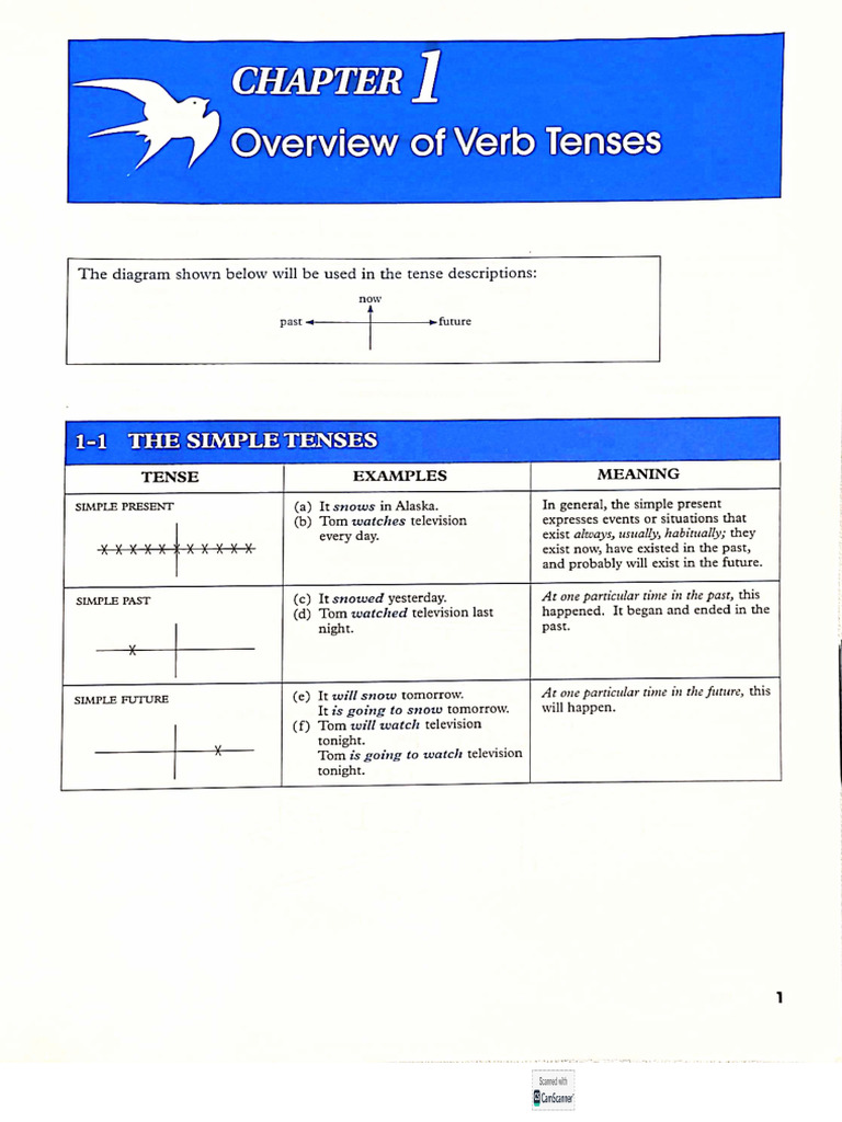Grammar Lessons | PDF