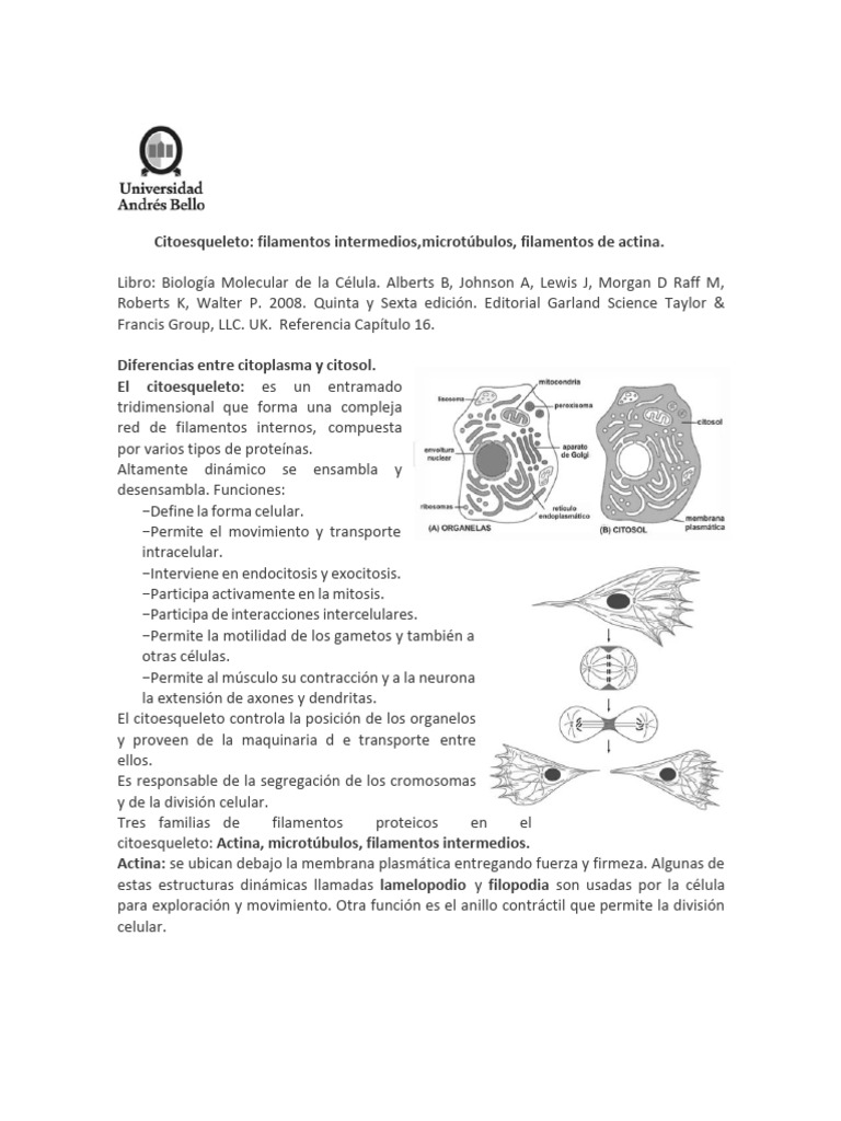 Biocel | PDF | Actina | Microtúbulos