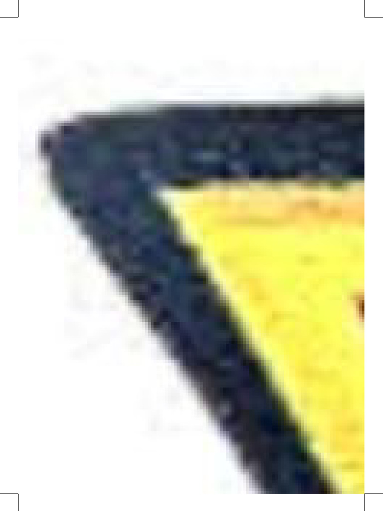 Rasterbation 3 | PDF