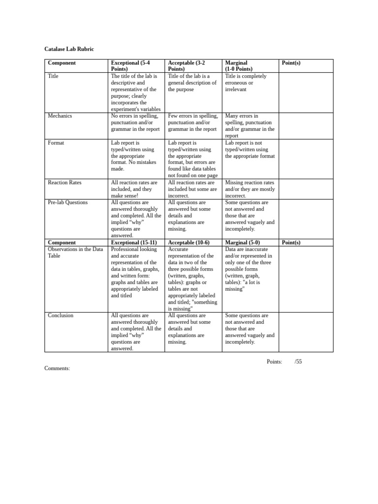 Catalase Lab Rubric | PDF