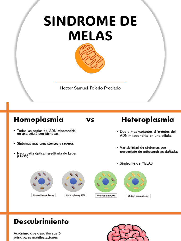 Sindrome de Melas | PDF | Mitocondria | Adn mitocondrial