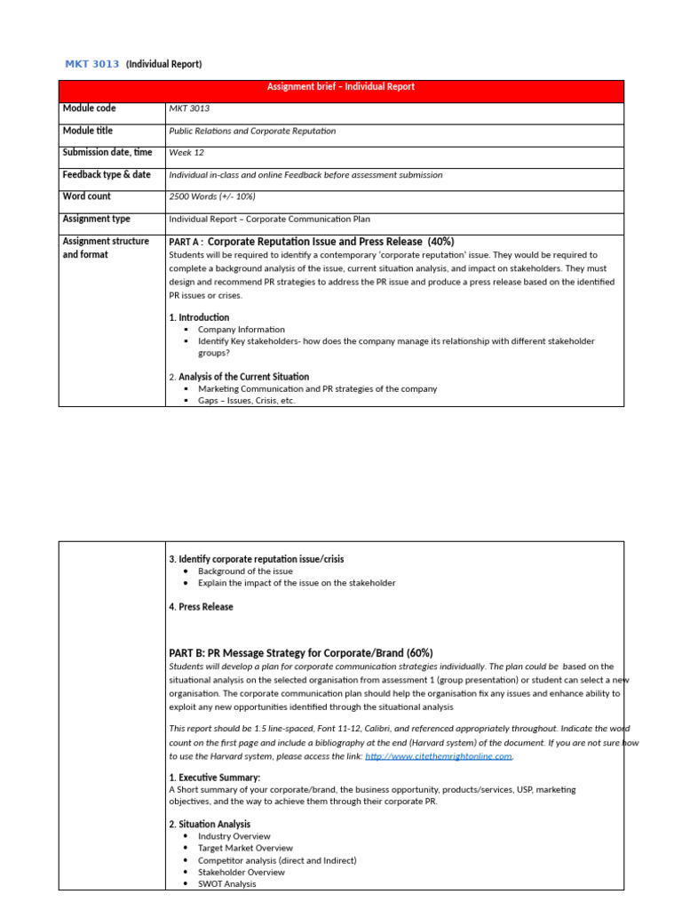 MKT3013 Individual Report | PDF | Marketing | Reputation