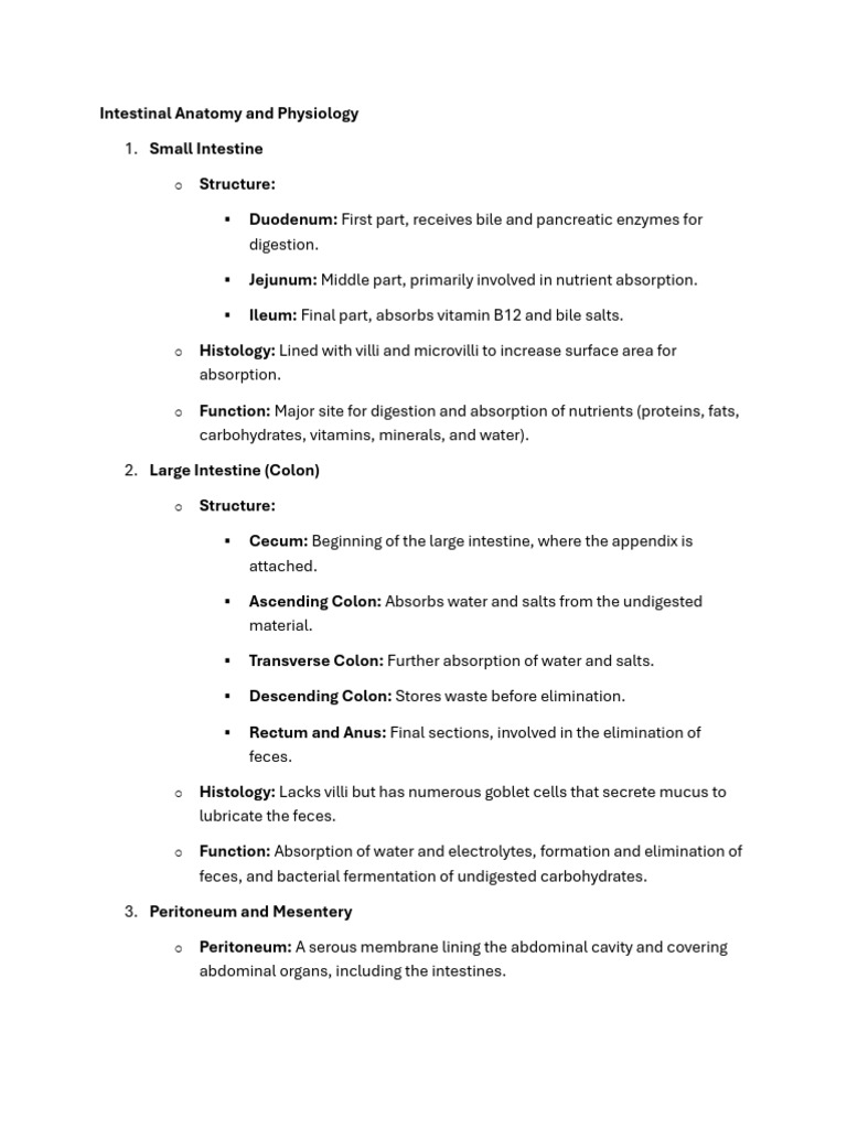 Intestinal Lumen: Structure and Function | PDF | Small Intestine ...