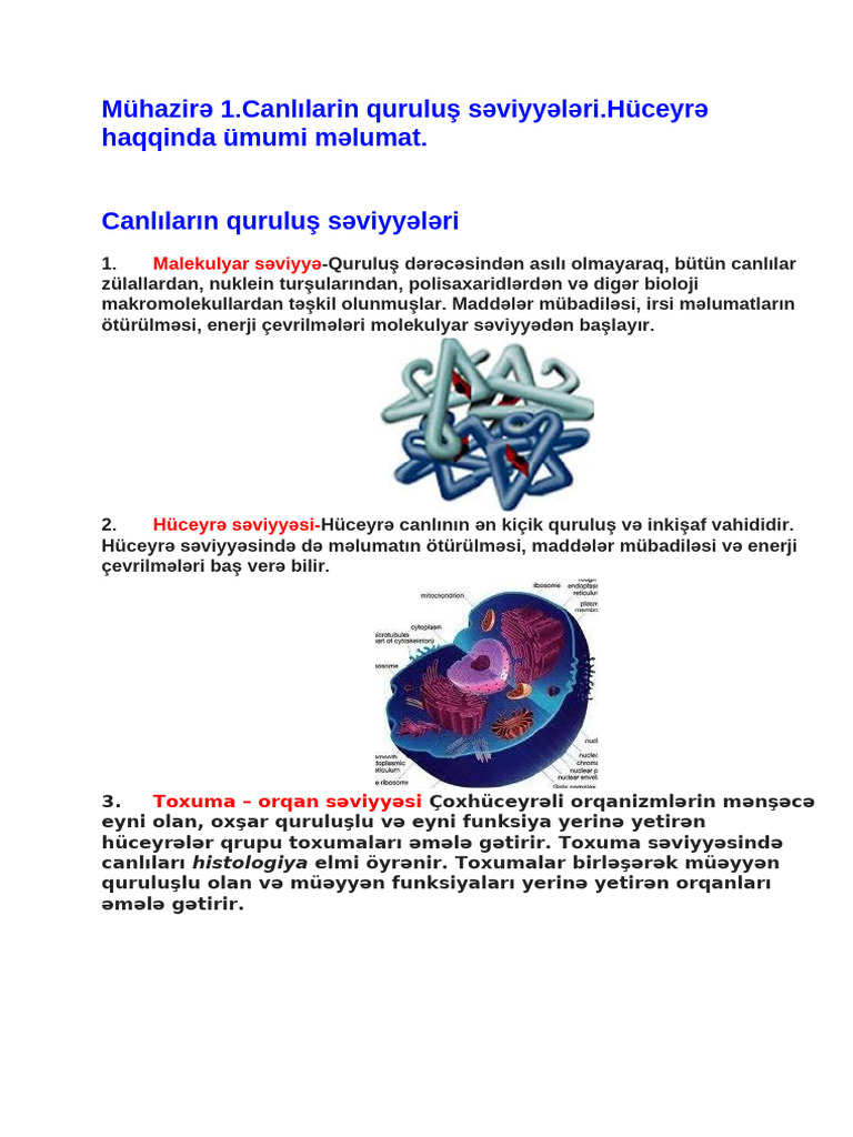 Biologiya PDF | PDF