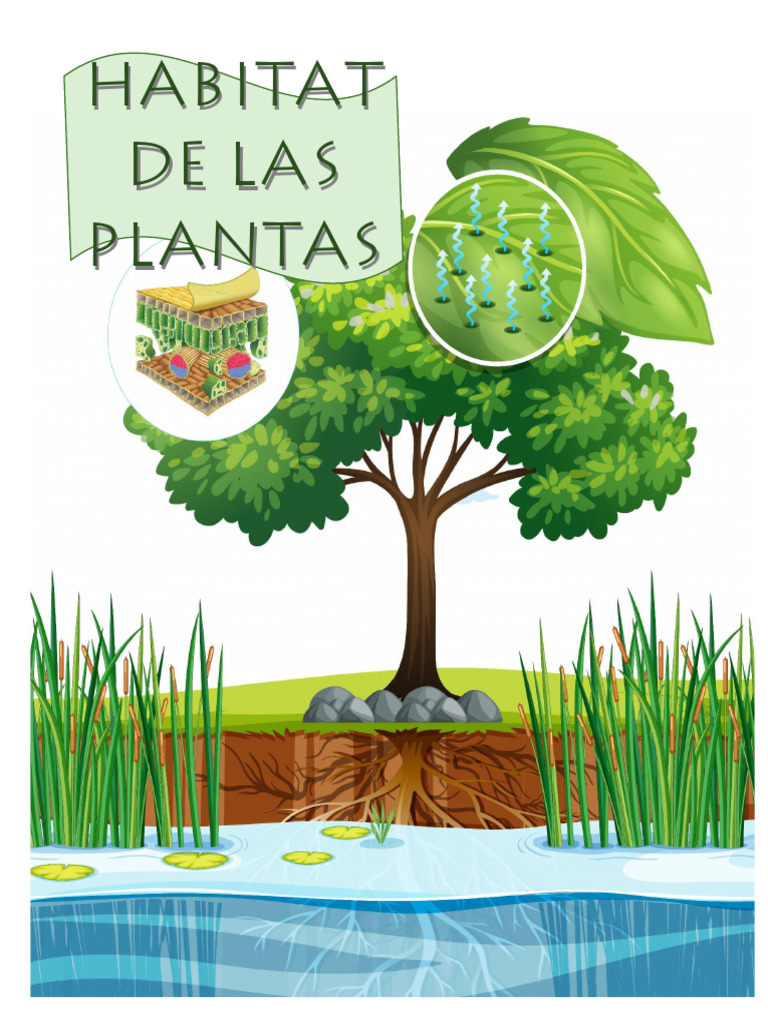 Hábitat de las Plantas para Niños | PDF | Plantas | Habitat