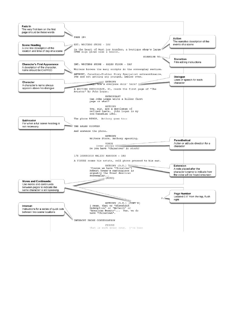 Film Script Format | PDF