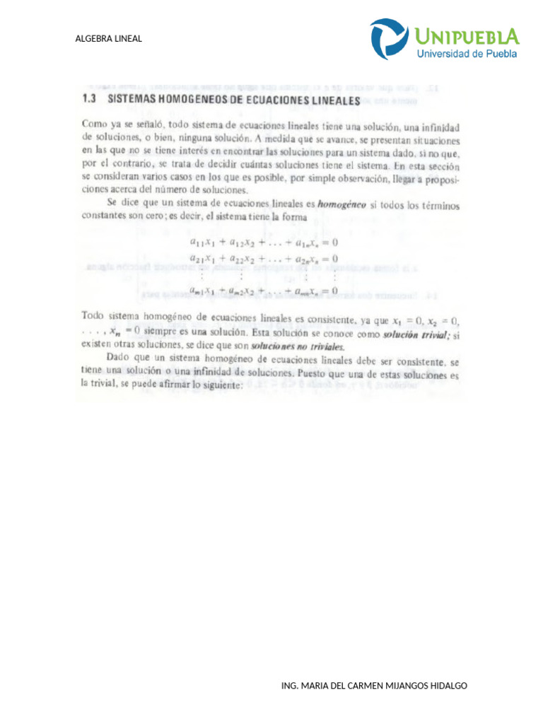 Clase 7 Sistemas Homogeneos de Ecuaciones Lineales | PDF