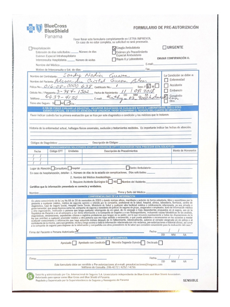 Formulario de Pre-Auto | PDF