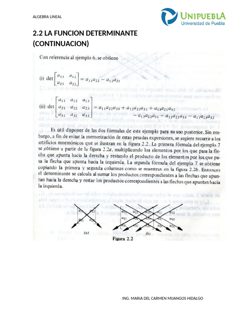 Clase 13 Funcion Determinante | PDF