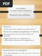 Loden's Diversity Wheel Lecture | PDF