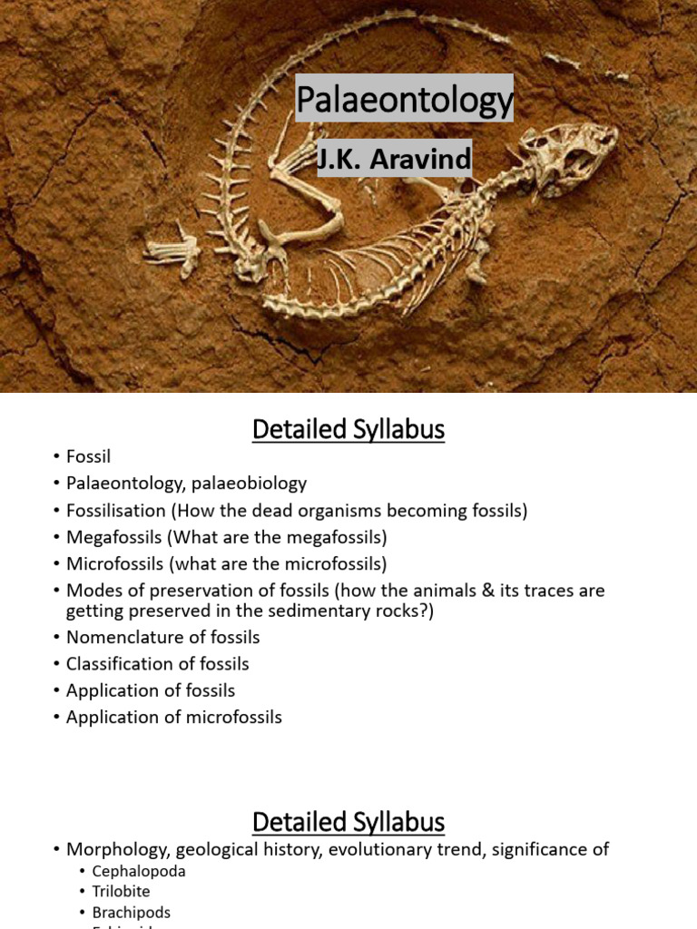 6 Palaeontology 03102023 JKA | PDF | Homo