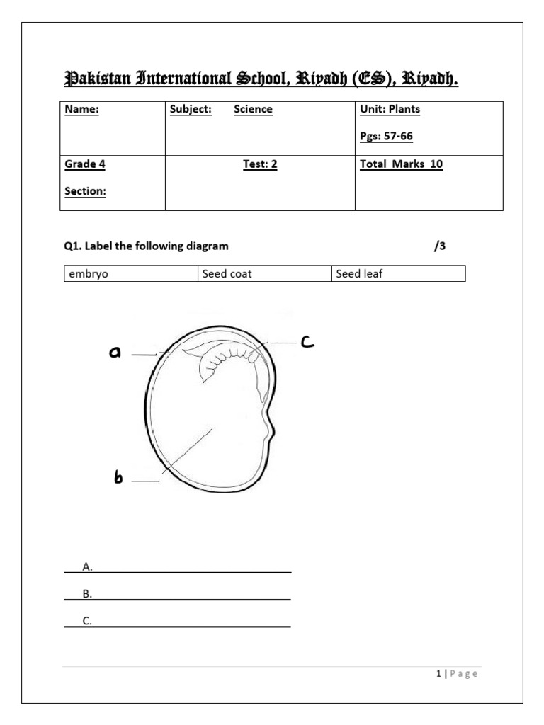Grade 4 Science Test on Plants | PDF