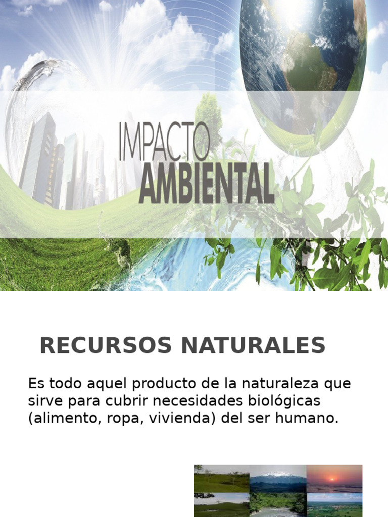 Impacto Ambiental | PDF | Deforestación | Entorno natural