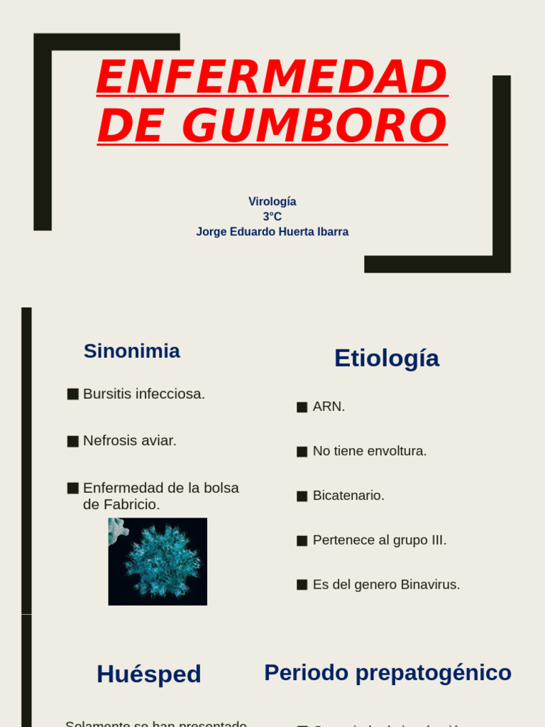 Enfermedad de Gumboro | PDF