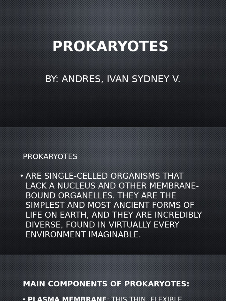 Prokaryotes PPT College | PDF