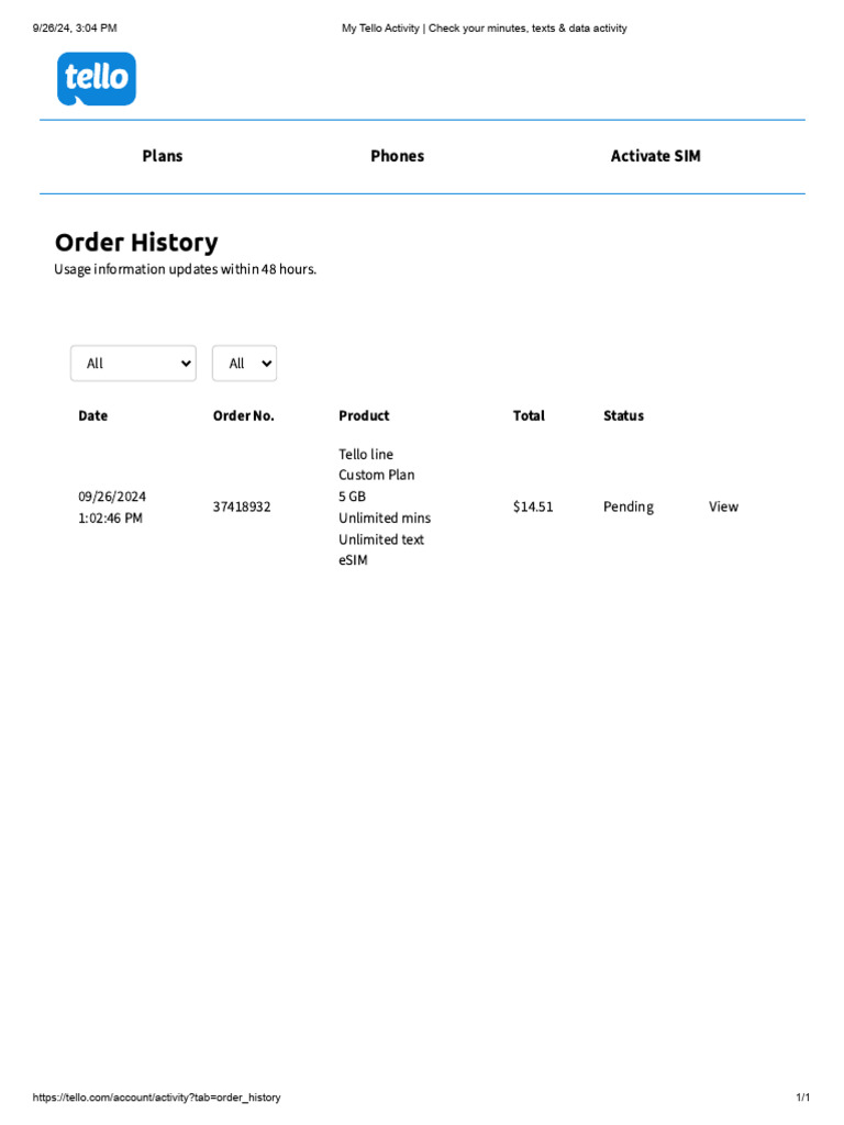 My Tello Activity - Check Your Minutes, Texts & Data Activity | PDF