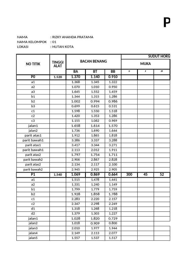 Contoh Data Topo 2 | PDF