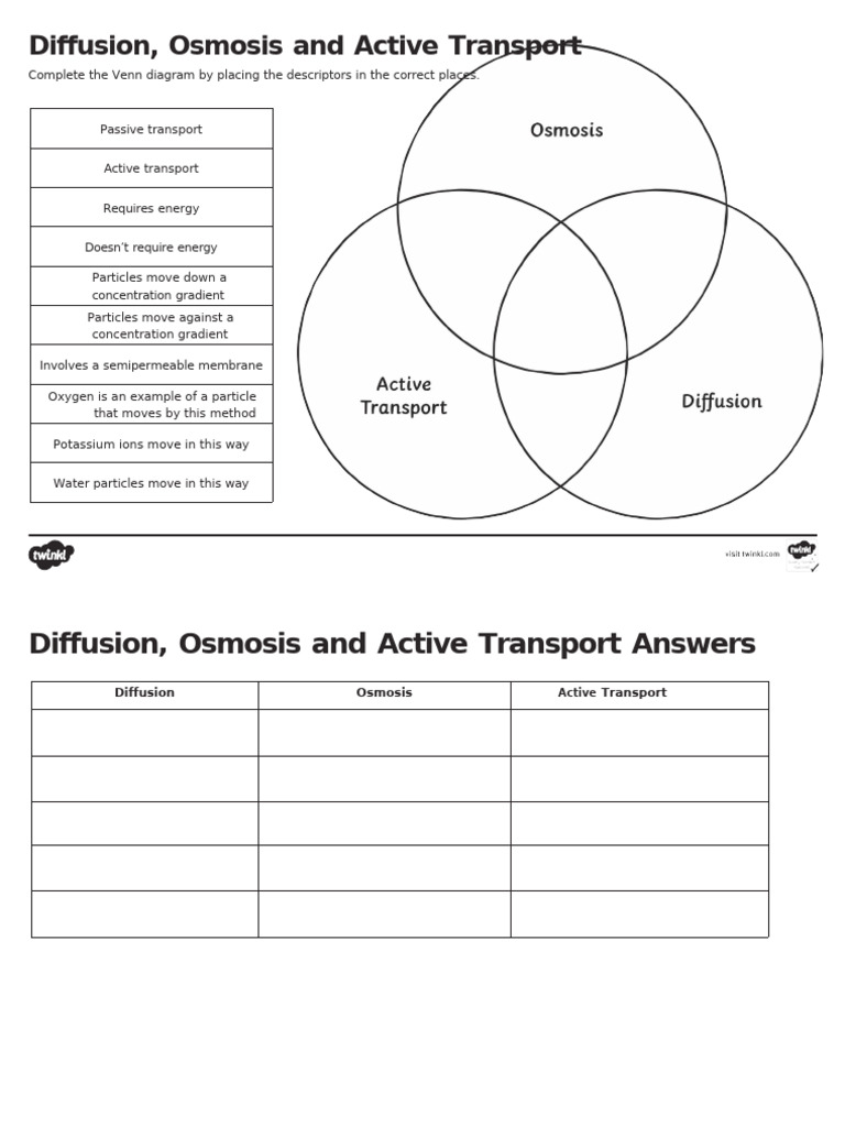 Venn Diagram Activity Sheet | PDF