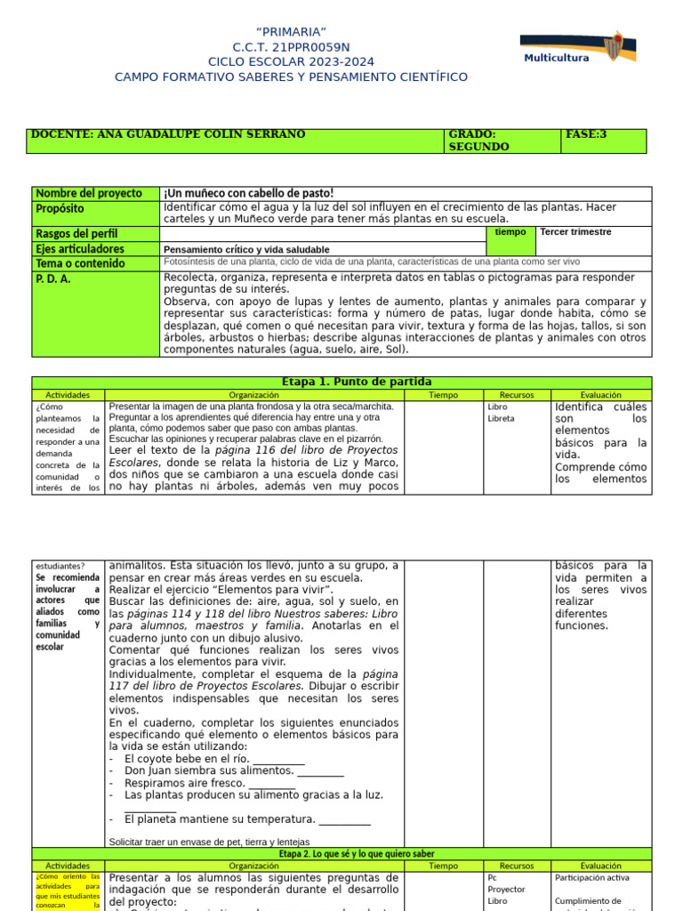 Proyecto Señor Cabeza de Pasto Trimestre 3 | PDF | Plantas | Pasto
