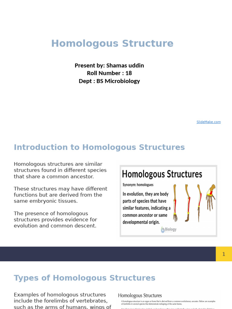 Homologous Structure Shamas | PDF | Homology (Biology) | Evolution
