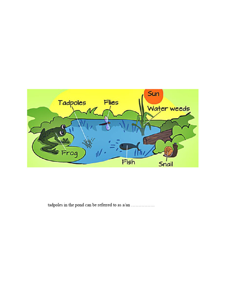 Grade 10 Biology Week 3 Lesson 1 Worksheet 2 and Solutions | PDF ...
