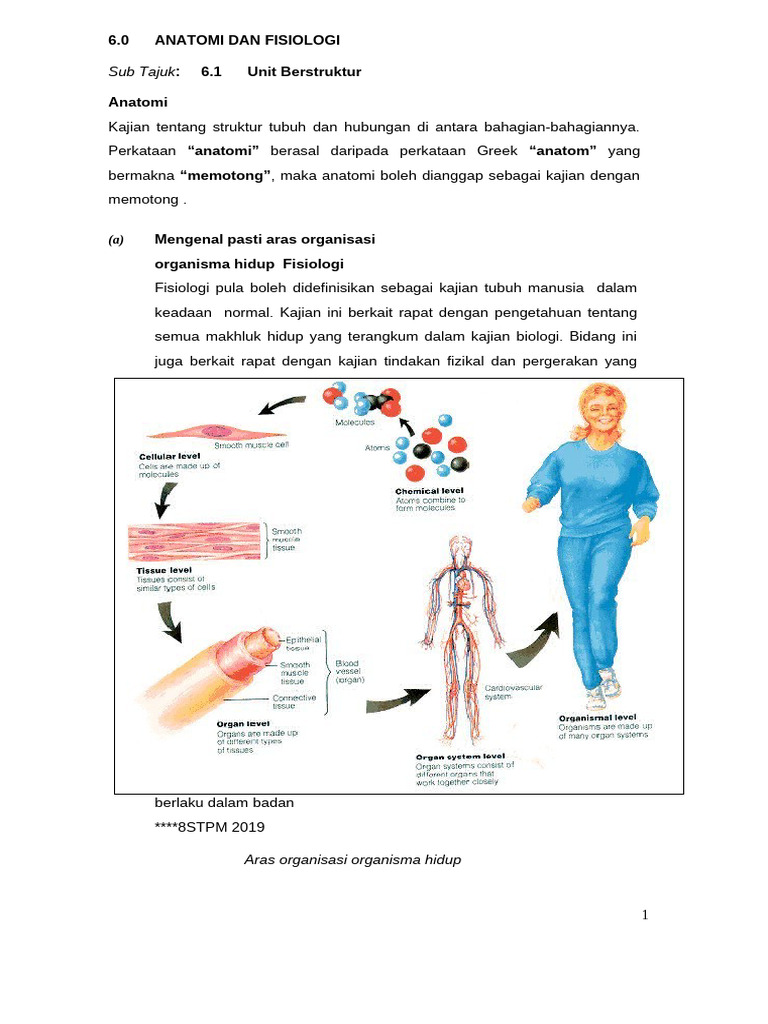 Nota Unit Berstruktur | PDF
