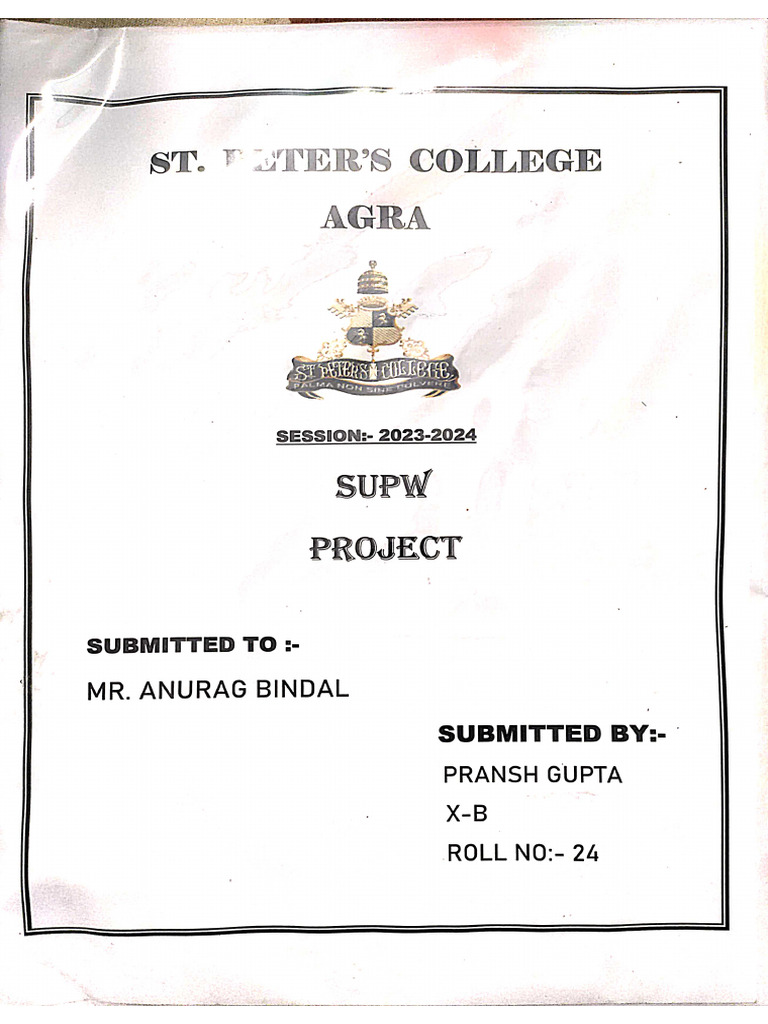 SUPW Project | PDF
