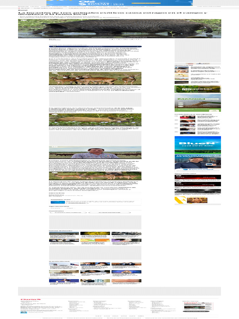 La Invasi-N de Tres Animales Ex-Ticos Causa Estragos en El Campo y Desplaza A La Fauna Local | PDF