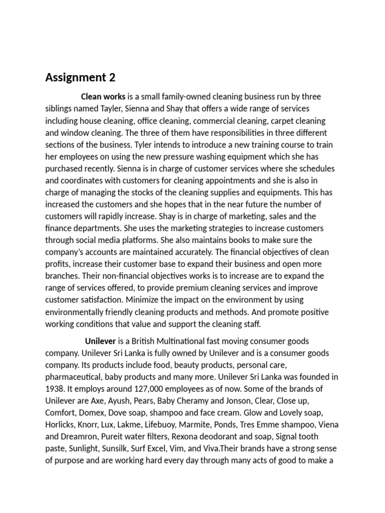 Non-Financial Aims of Cleanworks & Unilever | PDF | Unilever ...