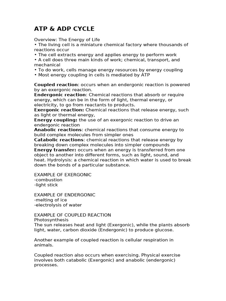 Understanding the ATP & ADP Cycle | PDF | Adenosine Triphosphate ...