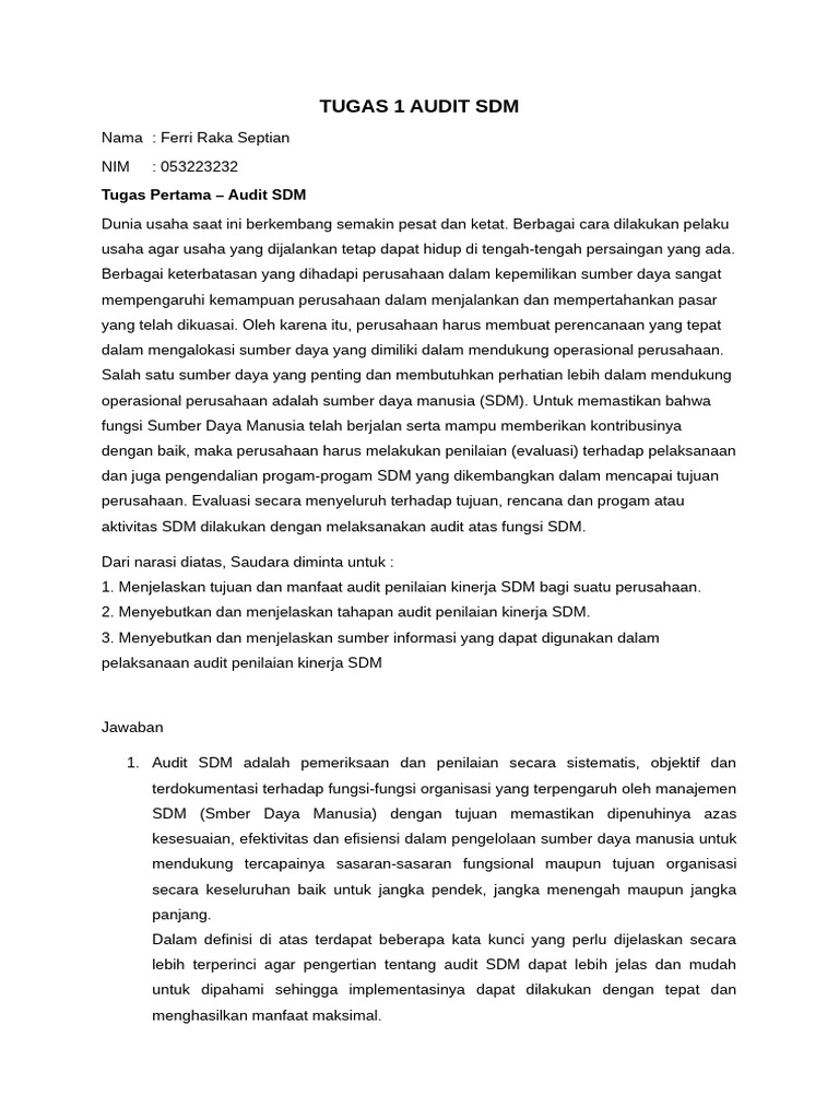 Tugas 1 Audit SDM | PDF | Bisnis