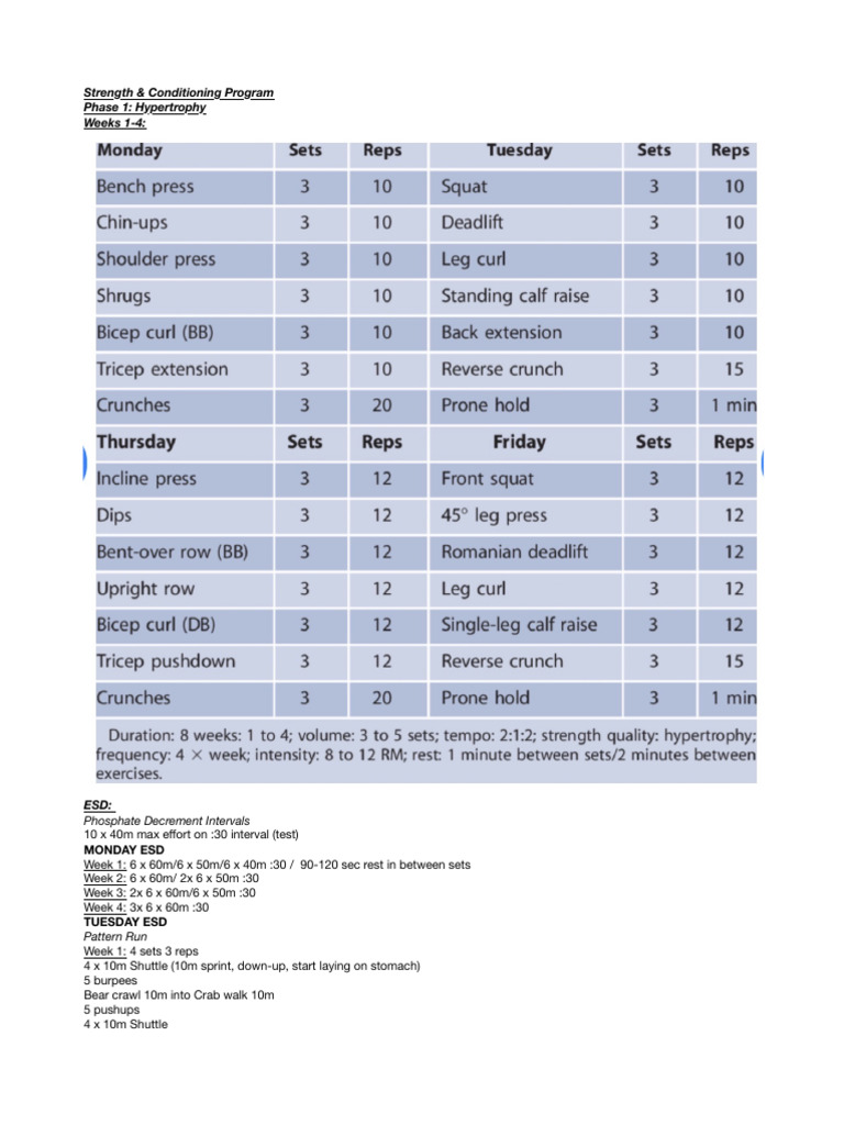 20 Week - 3 Phased Strength & Conditioning Program | PDF | Strength ...