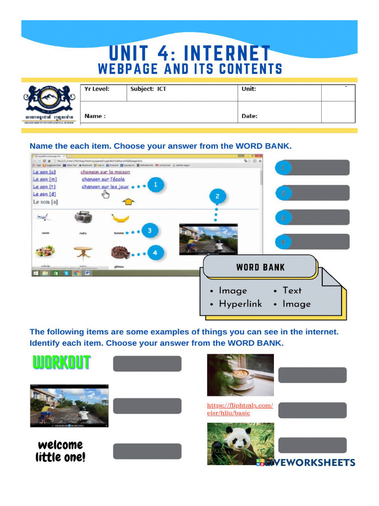 Y6 - Webpage | PDF