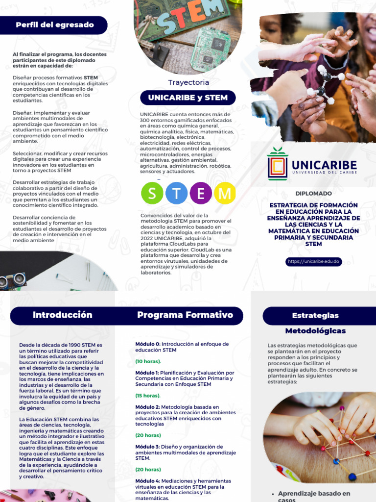 Brochure Justificado | PDF | Ciencia, Tecnología, Ingeniería y ...