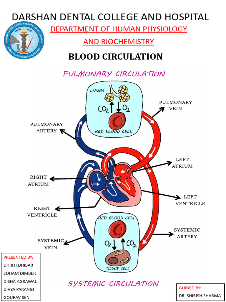 Blood Circulation: Darshan Dental College and Hospital | PDF