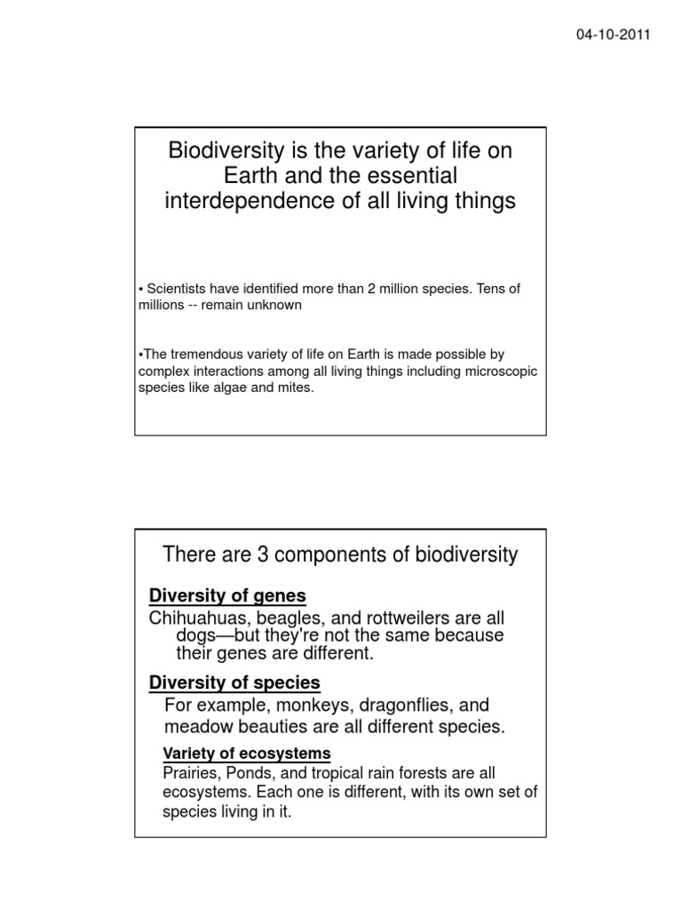 Biodiversity Is The Variety of Life On Earth and The Essential ...
