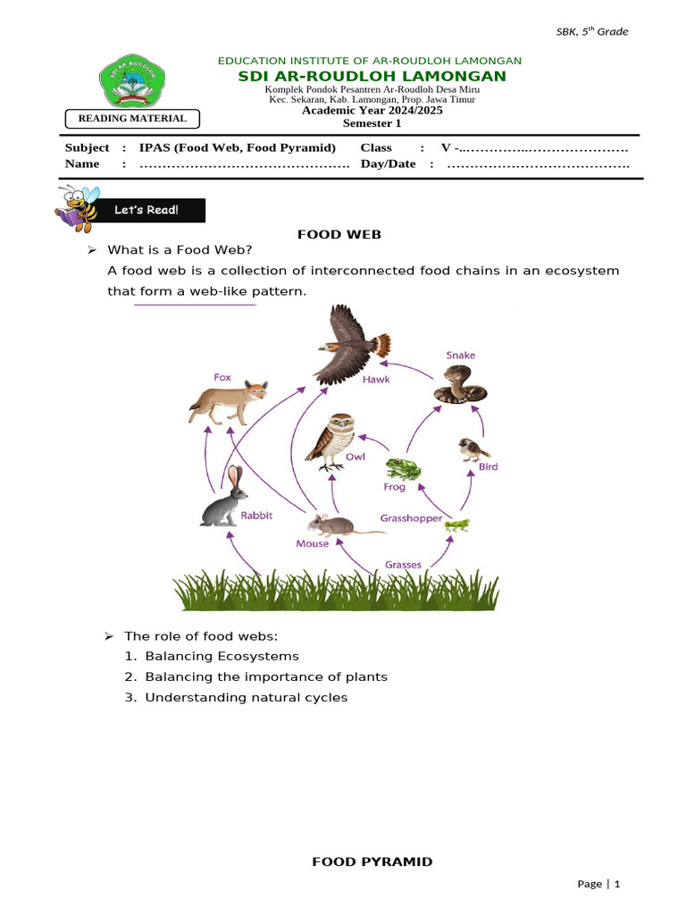 RM Food Web | PDF | Food Web | Systems Ecology
