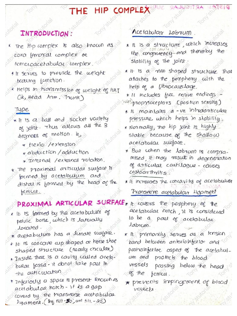 Biomechanics Notes | PDF