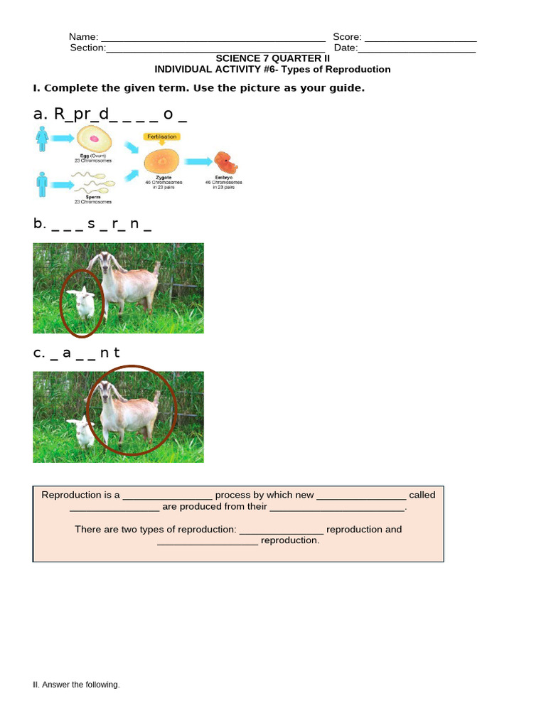 Learning Activity 6 Types of Reproduction | PDF | Career & Growth ...