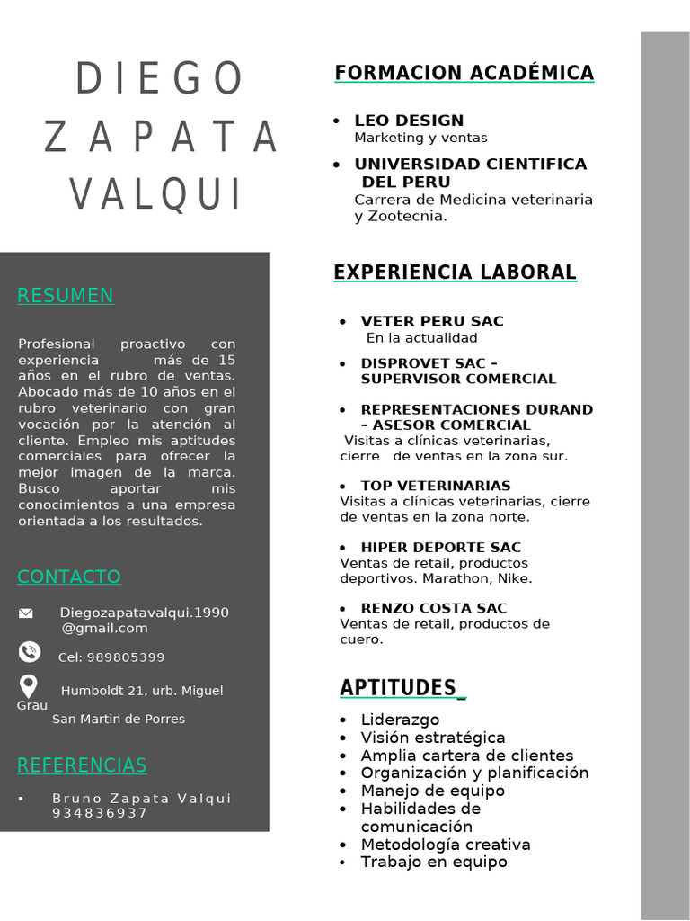 CV Diego Zapata 2024 Actualizado | PDF