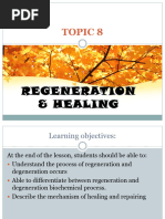 First vs. Second Intention Healing | PDF | Wound Healing | Scar