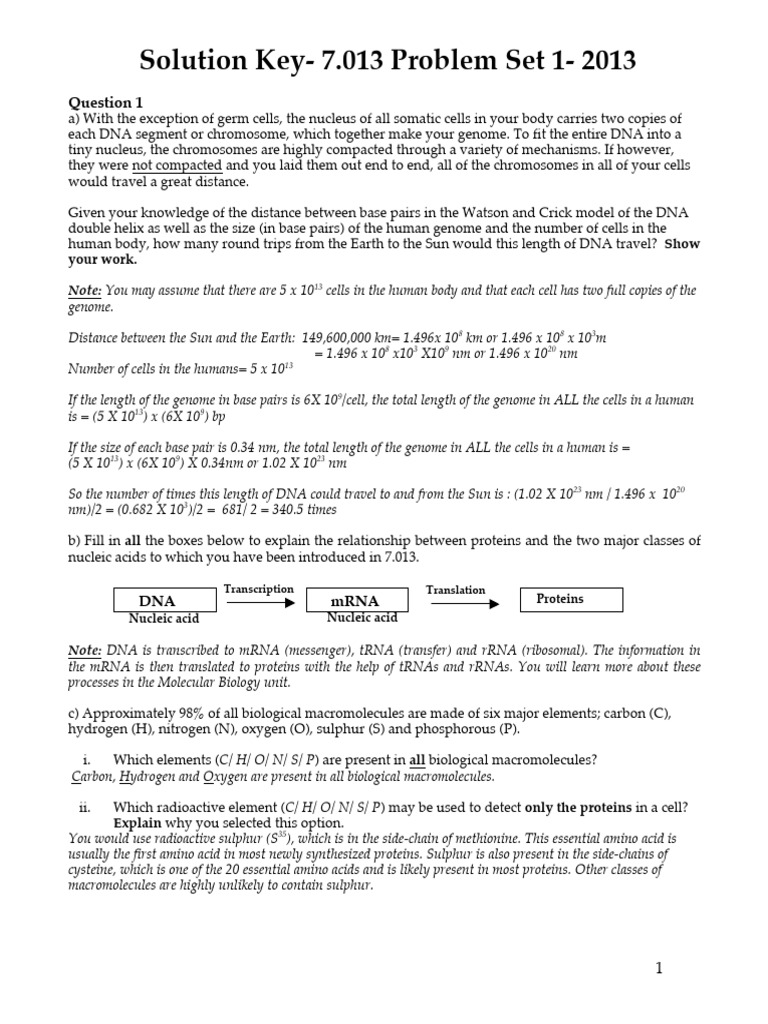 MIT7 013S13 Pset 1sol | PDF | Nucleotides | Enzyme Inhibitor