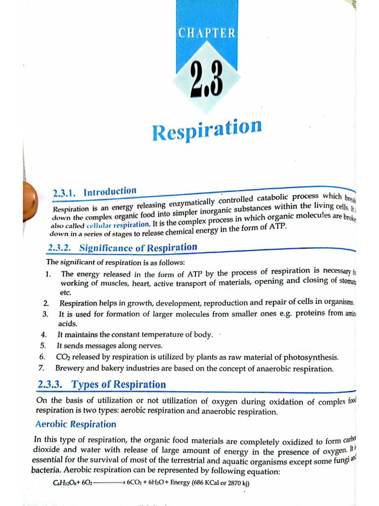 Respiration Principle of Biology | PDF