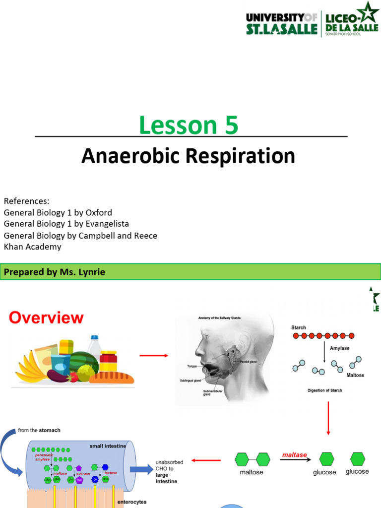 Lesson 5 Cellular Respiration (Anaerobic Respiration) | PDF | Cellular ...